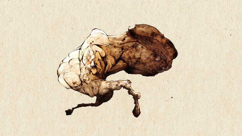 Animalia. A 2d walking vermin animation loop